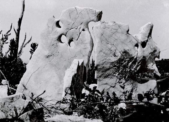 biomorphic forms – On This Date in Photography: by James Mcardle