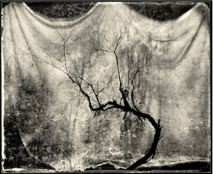 September 11: Centrism – On This Date in Photography: by James Mcardle